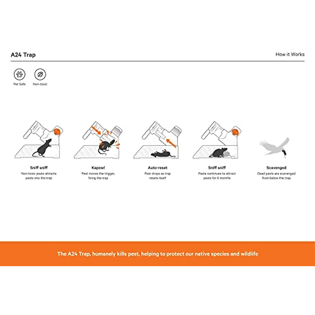 Goodnature Home Trapping Kit, A24 Humane Mouse Trap & Rat Trap with Portable Trap Stand, Automatic Paste Pump and CO2 Canister, Pet-Friendly Mouse & Rat Trap Without Digital Strike Counter
