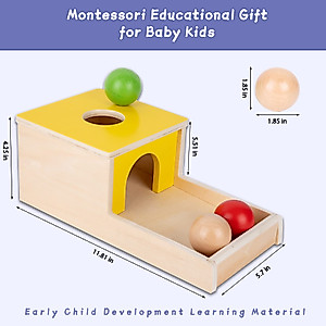 Adena Montessori 4 in 1 Wooden Play Kit Baby Toys,Object Permanence Box,Matchstick Color Drop Game,Carrot Harvest and Coin Box,Ball Drop Toy for Kid 1,2,3 Year Old,Girl Boy Gift for Baby 6-12 Month