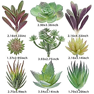 miltonson Artificial Succulent Plants - 18 Pack - Premium Fake Plants - Double Flocked Succulents - Realistic Textured Cactus - Face Succulent Plants - Mini Faux Succulents - Face Plant Decor