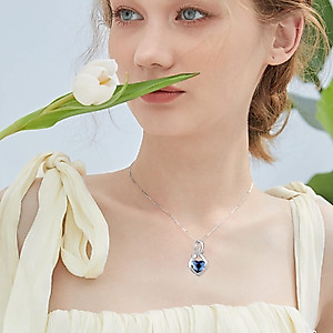 Cremation Jewelry for Ashes for Women 925 Sterling Silver Butterfly Urn Necklace for Ashes Infinity Ashes Keepsake Dainty Blue Austrian Crystal Heart Ashes Memorial Jewelry Gifts