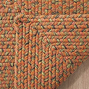 SAFAVIEH Braided Collection 4' x 6' Multi BRD166A Handmade Country Cottage Reversible Cotton Area Rug
