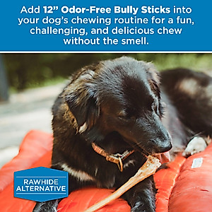Best Bully Sticks 12 Inch Odor Free Bully Sticks for Dogs, 12 Pack - 100% Natural, Grass-Fed Beef, Easily Digestible Bully Bones, Grain and Rawhide Free, Odorless Dog Bully Sticks for Large Dogs