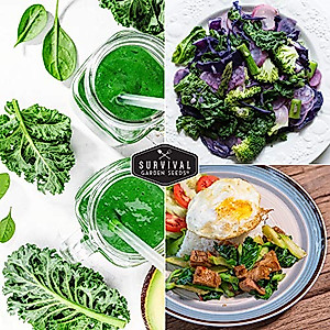 Survival Garden Seeds - Dwarf Siberian Kale Seed for Planting - Packet with Instructions to Plant and Grow Ornamental or Delicious Edible Kale in Your Home Vegetable Garden - Non-GMO Heirloom Variety