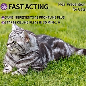 Flea and Tick Prevention for Cats, Cat Flea & Tick Control with Fipronil, Long-Lasting & Fast-Acting Topical Flea & Tick Treatment Drops for Kitten, 3 Doses