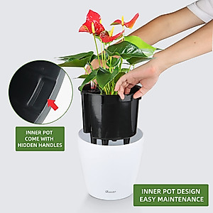 Dexceder 11x10 Inches High Gloss Self Watering Planter Indoor Outdoor, Inner Pot Design, Thickened Table Flower Plant Pot with Water Level Indicator (White)