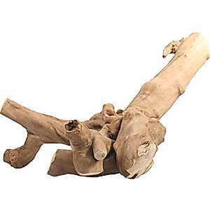 A&E Cage Company 001373 Java Wood Reptile Branch Natural, Large