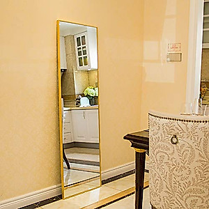 TECNR Full Length Mirror Floor Mirror Hanging Standing or Leaning, Bedroom Mirror Wall-Mounted Mirror with Gold Aluminum Alloy Frame, 59" x 15.7"