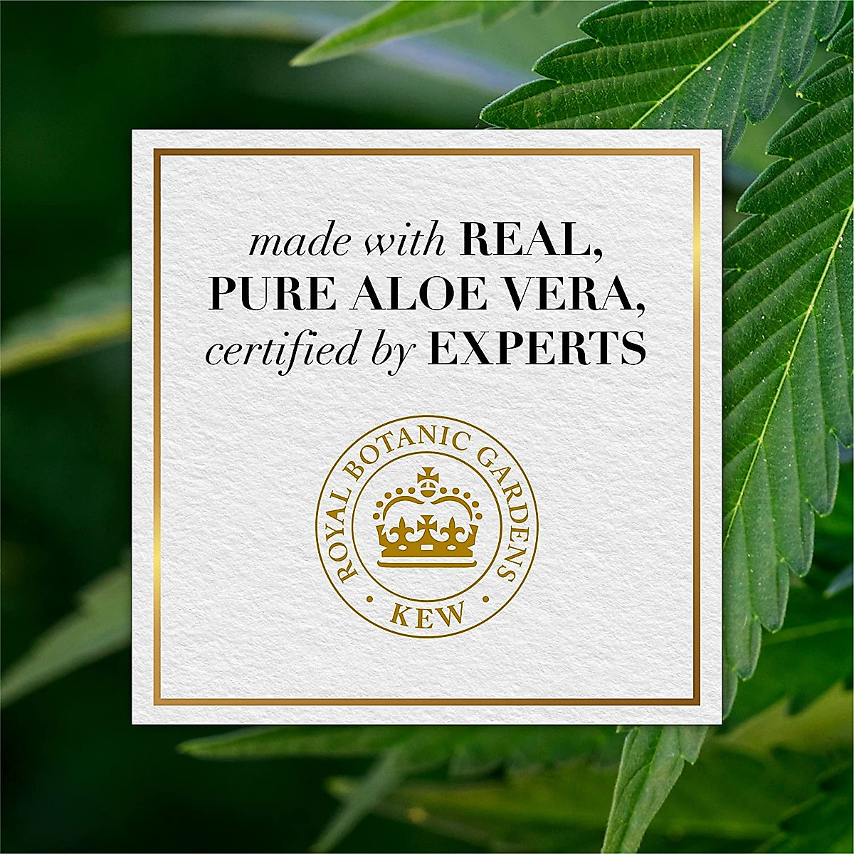 Herbal Essences Bio:Renew Sulfate Free Hemp + Potent Aloe Shampoo and Conditioner Set, 13.5 Fl Oz Each — Nourishes Dry Hair for Frizz Control, Paraben Cruelty Safe Color Treated (Pack of 1)