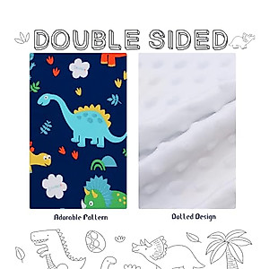 Cloele Baby Minky Blanket - Dinosaur Ultra Soft Infant Blanket 30 x 40 Inch - Plush Double Layer Fleece Boys Blanket with Dotted Backing for Newborns Toddler Bed Throw Blanket Baby Receiving Blanket