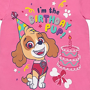 Paw Patrol Skye Birthday Toddler Girls T-Shirt Pink 4T