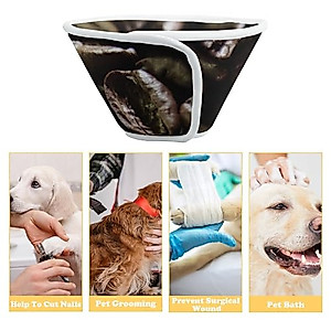 Coffee-Beans Soft Dog Cone Collars Protective Adjustable Cat Recovery Collar to Stop Licking L