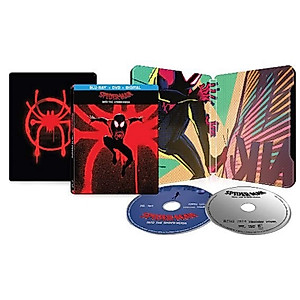 SPIDER-MAN: INTO THE SPIDER-VERSE [video game]