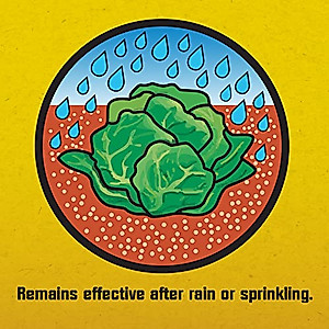 Corry's Slug and Snail Killer 1.75 Pound Box