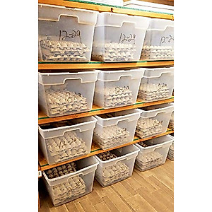 Josh's Frogs Egg Flats for Feeder Insect Colonies (15 Count)