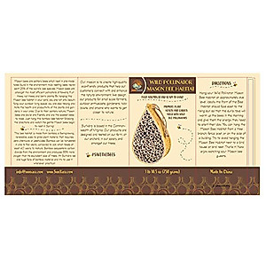 SunVara Mason Bee House for Pollinating Bees Wild Pollinator Mason Bee Brick Tubes Habitat Garden Supplies Bee Boxes Hanging Bee Box Hotel (1)