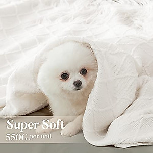 Touchat Knitted Throw Blankets for Couch, Sofa and Bed, Lightweight Soft Knit Blanket with Tassel, Decorative Cozy Farmhouse Throw Blankets for Women and Man 50"x60", Cream Off White