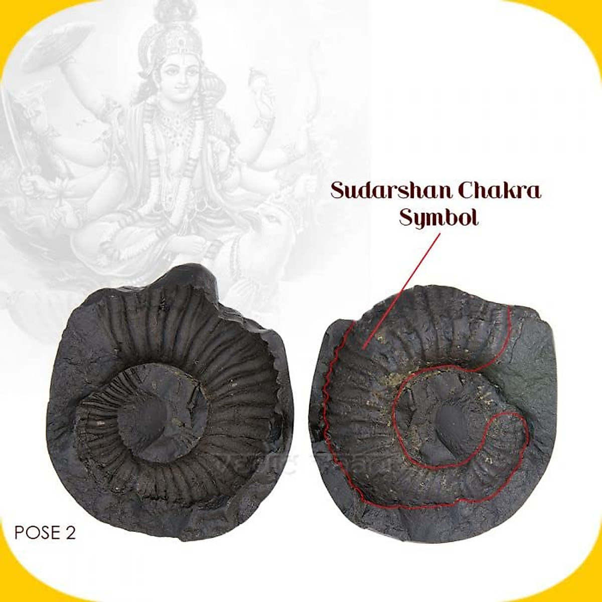 Vedic Vaani Garuda Vishnu Shaligram Shila (Pack of 4)