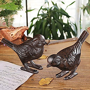 BRASSTAR Rustic Cast Iron Bird Statue Farmhouse Home Garden Decor Collectible Figurines Gift Replica Rust Color a Pair of Birds PTZD053