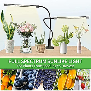 Juhefa Plant Grow Light, Full Spectrum Dual-Head 60 LED Clip-on Plant Lamp for Indoor Plants Seedlings Succulents,3 Modes & 5-Level Dimmable,Auto On/Off Timer 4H/8H/12H