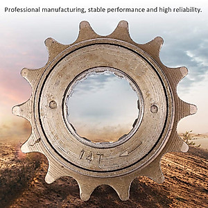 14T Single Speed Freewheel Flywheel Accessory Compatible with Mountain Road Folding