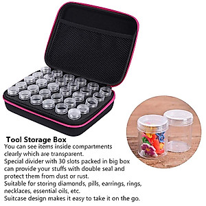 Joyzan Embroidery Diamond Storage Box, 30 Slots Compartments Clearly Double Seal Painting Storage Containers Case Organizer for DIY Art Craft Nail Diamonds Bead (Rose Red)