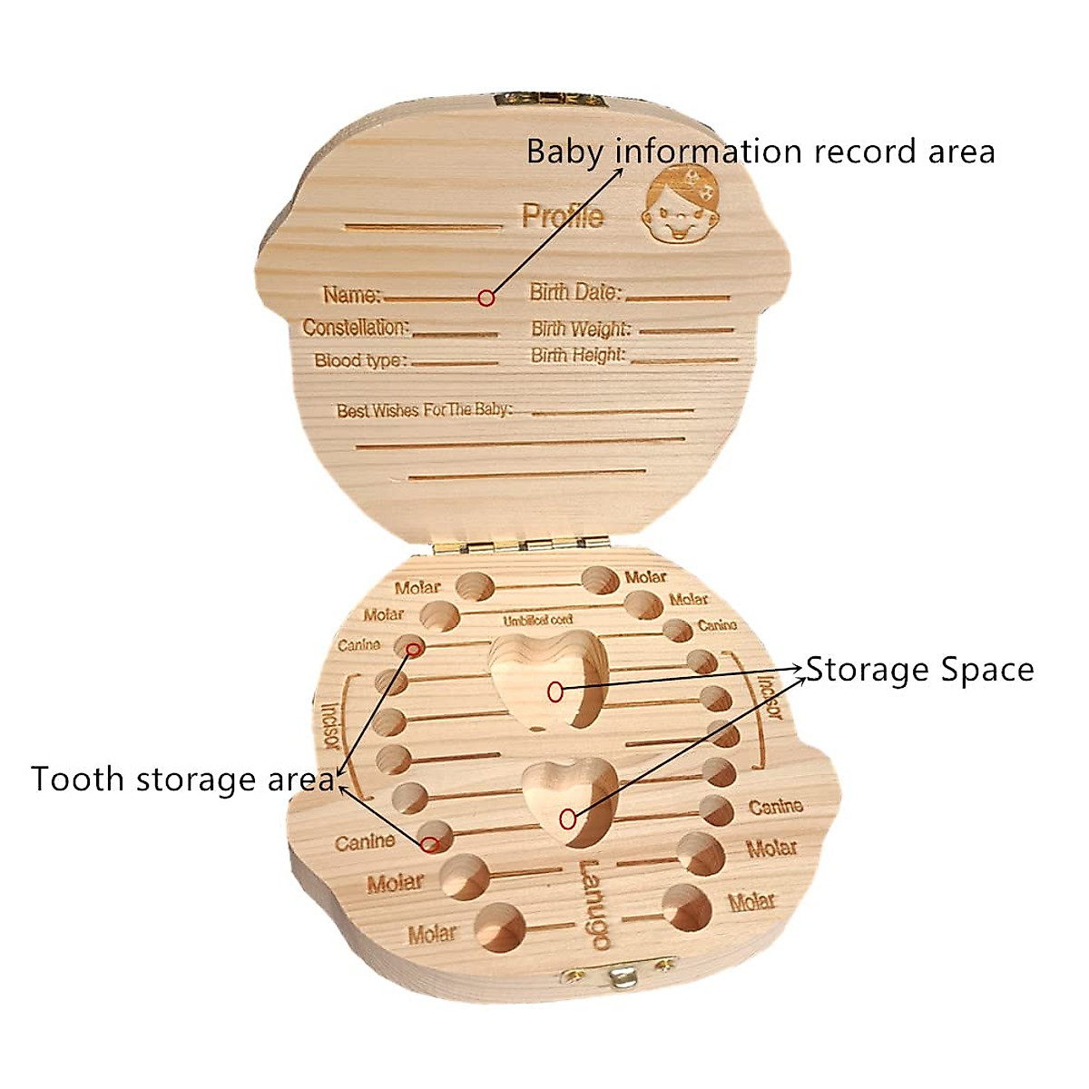 Baby Tooth Keepsake Box,Tooth Fairy Box,Wooden Tooth Box ,Baby Keepsake Storage Box,Tooth Saver,Tooth Holder for Kids Teeth,Tooth Boxes for Lost Teeth for Kids,Newborn Baby Birthday and Shower Gift