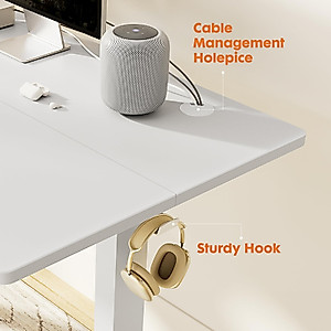 Sweetcrispy Standing Desk Adjustable Height, 48inch Electric Sit Stand up Desk for Home Office, Modern Rising Work Table for Computer Laptop, Lift Gaming Desk Sturdy Ergonomic Workstation, White