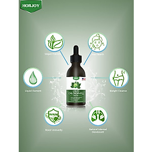 Chlorophyll Liquid Drops - 100% Natural Energy Booster and Immune Support - Internal Deodorant and Detox - Altitude Sickness Relief - Fast Absorption, Vegan & Non-GMO - 120 Servings (Pack of 1)