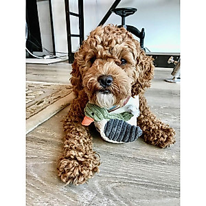 Tall Tails Small Classic Plush Squeaker Toy for Dogs, Duckling