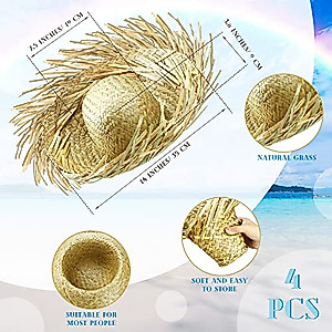 4 Pcs Beach Hat Costume Accessory Straw Hat Costume Beachcomber Hats for Beach Themed Party Hillbilly Costume Luau Party Headwear