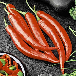 Gaea's Blessing Seeds - Cayenne Pepper Seeds - Heirloom Hot Pepper Long Red Slim Non-GMO Open-Pollinated High Yield Germination Rate 93% Net Wt. 1.0g