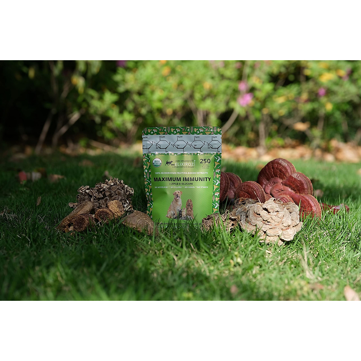 MAXIMUM IMMUNITY >25% β-glucan 100% Mushrooms Fruiting Body Extracts, Veterinarians formulation for Dogs & Cats Immune & Digestive Systems with Turkey tail & >35% β-glucan Reishi extracts.250 SERVINGS