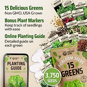 Rooted Acre 15 Lettuce & Green Seeds Pack | Non-GMO Heirloom Seeds | Garden Salad Greens Seeds | Hydroponic Vegetable Seeds for Planting Indoor | Romaine, Kale, Spinach, Arugula, & Butter Lettuce Seed