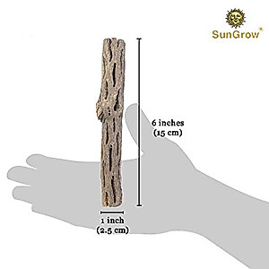 SunGrow Betta Cholla Wood, 6 Inches Long, Encourage Exercise, Create Basking Spot, Creative Addition to DIY Home Crafts, Great Accent Piece, 2-Pieces