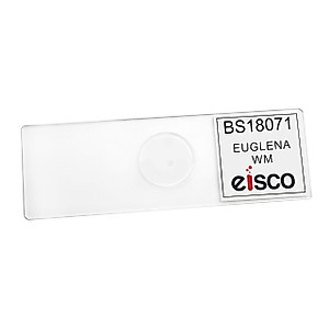 EISCO (Pack of 10) Euglena Virdis, Wholemount - Prepared Microscope Slides - Classroom Pack, 10 Slides in Storage Case - Biology & Microscopy