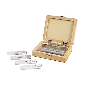 Celestron No.44410 Prepared Microscope Slides (25-Piece Set)
