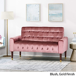 Christopher Knight Home Aubrie Tufted Velvet Loveseat Tipped Tapered Legs, Blush and Gold Finish