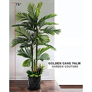 Deluxe 78" Golden Cane Palm Artificial Tree + Premium Fiddle Leaf Foliage in 8" Base + 12" Plant Pot Skirt + Bonus USA Flag Style Pot Pant