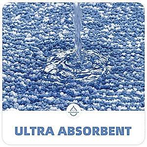 Color G Bathroom Rug Mat, Ultra Soft and Water Absorbent Bath Rug, Bath Carpet, Machine Wash/Dry, for Tub, Shower, and Bath Room (24"x35", Blue and White)