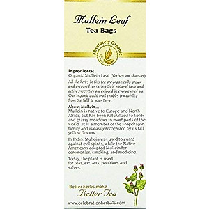 Celebration Herbals Organic Mullein Leaf Tea Caffeine Free - 2 Pack (48 Bags in Total)