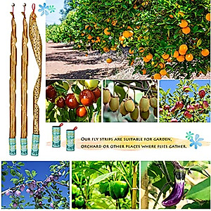 24 Rolls Fly Strips - Fly Tapes Fly Paper Sticky Fly Trap Indoor/Outdoor Hanging,Fly Catcher Fly Ribbon Fungus Gnat Trap Fruit Fly Killer for House/Kitchen/Plants/Horse Stable (24Rolls)