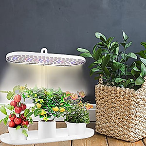 DIGLAB Indoor Garden Led Grow Light:Herb Seeds Kitchen Garden Grow Kit - House Plant Growing Lamps Growing System with Timer