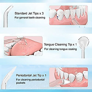 Cordless Water Flosser for Teeth, Portable Water Flosser, 4 Modes Dental Oral Irrigator, Rechargeable & IPX7 Waterproof Water Teeth Cleaner Picks with Travel Case, 5 Jet Tips