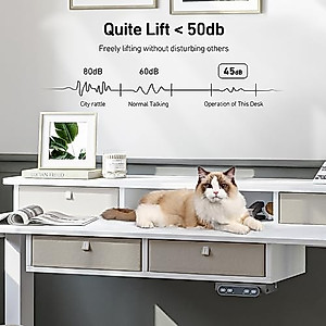 FEZIBO Sturdy Height Adjustable Electric Standing Desk with Drawers, 63 x 24 Inch Stand Up Table with Large Storage Shelf, Sit Stand Desk, White Top