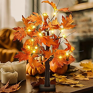 22 Inch Lighted Maple Tree Fall Tree Thanksgiving Tree Decorations with 6 Acorns & Pumpkins & Pinecones Autumn Decor with 18 LED Thanksgiving Decorations Indoor for Harvest, Fall, Party, Table