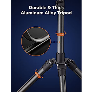 Ring Light with Stand, 12 inch LED Ring Light Features Upgraded Tripod & Remote Control, Selfie Light with Phone Holder Adjustable Height Smooth Dimming for Makeup Studio Portrait YouTube Vlog