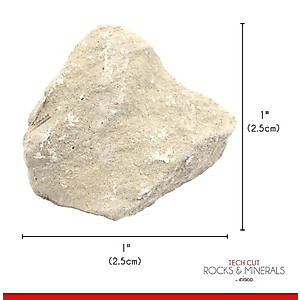 EISCO 12PK Raw Limestone Chalk, Sedimentary Rock Specimens - Approx. 1" - Geologist Selected & Hand Processed - Great for Science Classrooms - Class Pack Labs