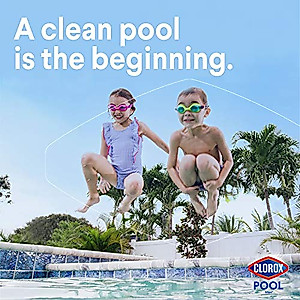 Clorox Pool&Spa 33506CLX Pool Shock XtraBlue (6 1-lb Bags), 6 Pack, White