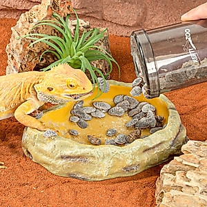 REPTI ZOO Reptile Cricket Powder Mixer, Insect Calcium Mixer, Cricket Nutrients Shaker for Gecko Snake Lizards, Feed Dispenser for Reptile & Amphibians | Terrarium Tank Accessories