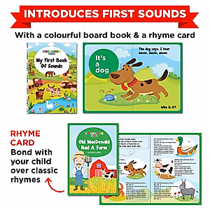 Einstein Box for 1 Year Olds | Birthday Gift for Boys & Girls Aged One Year| Board Books, Flash Cards, Learning Activities for Toddlers | STEM Learning & Educational Toys (1 Box Set)